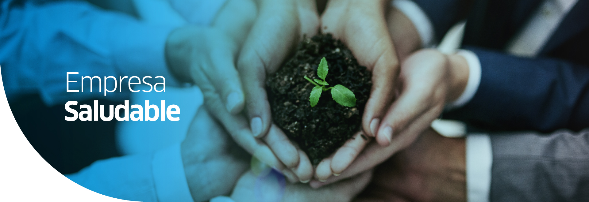 Empresa saludable - sanitasdo
